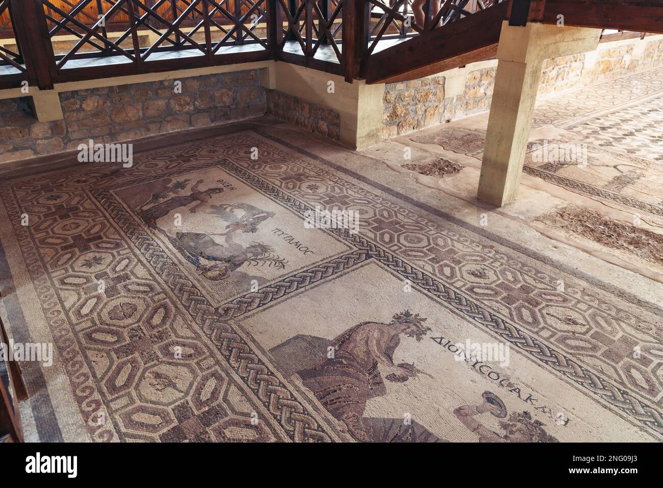Mosaics in House of Dionysos Roman villa in Paphos Archaeological Park ...