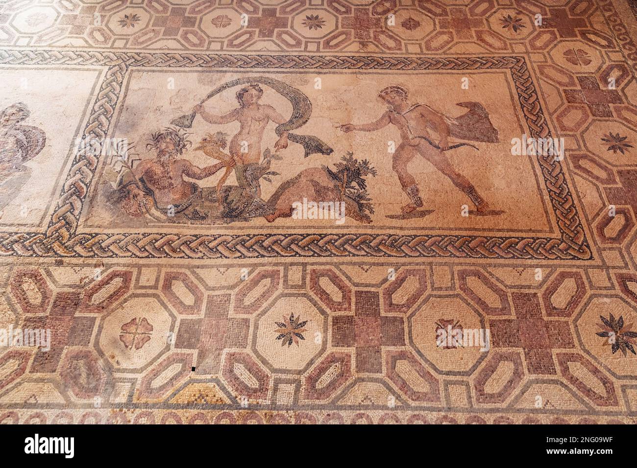 Apollo and Daphne mosaic in House of Dionysos Roman villa in Paphos Archaeological Park in ...