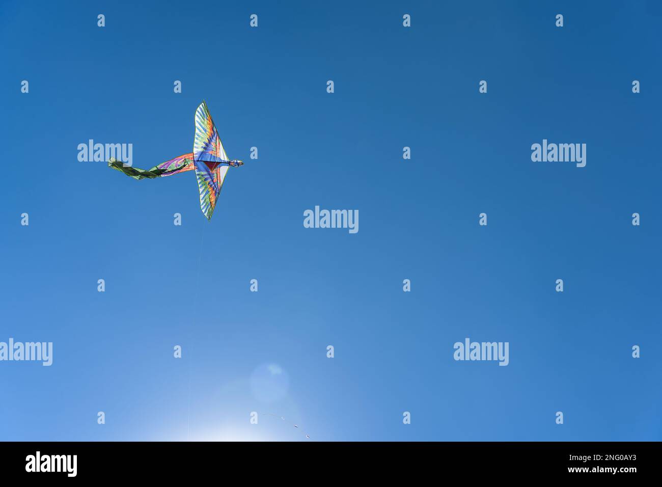 Colorful kite bird soars high in the sky Blue sky. Sports kite festival ...