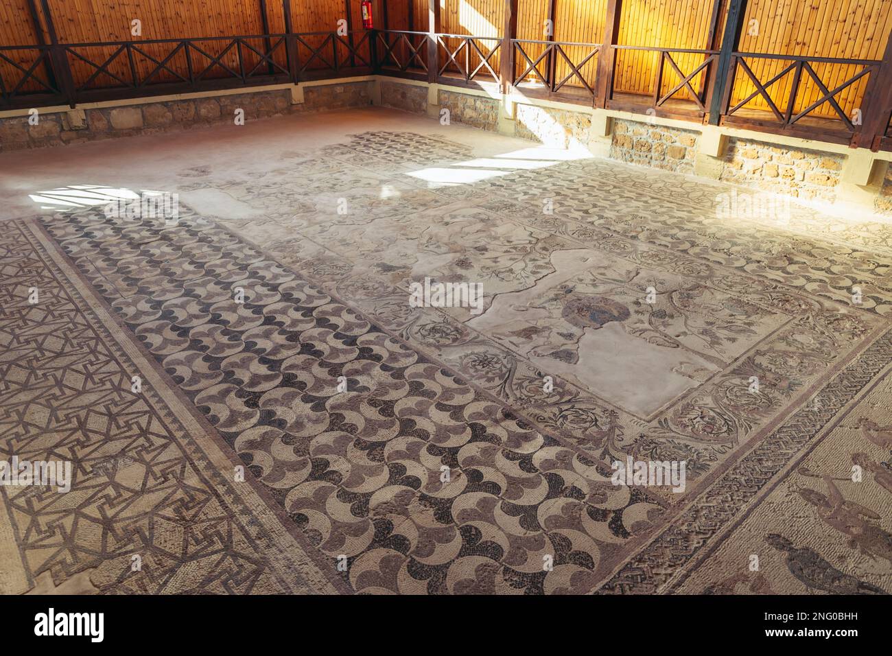 Floor mosaic in House of Dionysos Roman villa in Paphos Archaeological ...