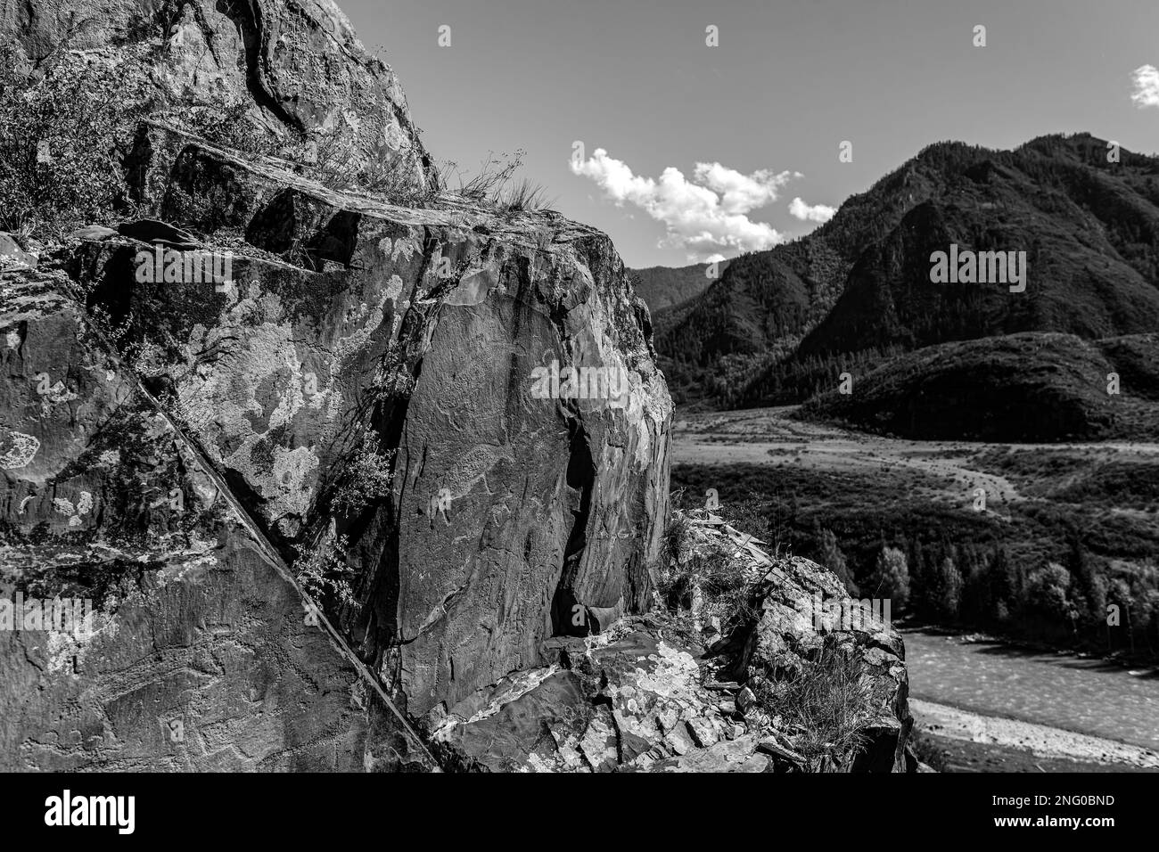 Rock drawing petroglyphs of ancient people of different animals deer on ...