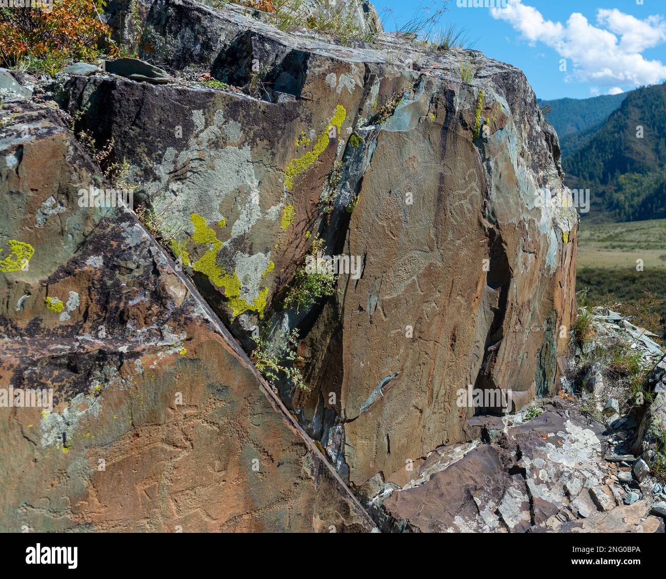 Rock drawing petroglyphs of ancient people of different animals deer on ...