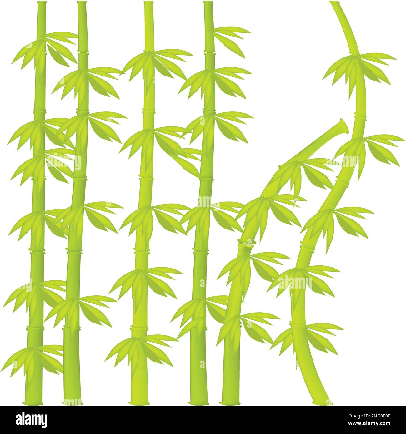 Illustration with six bamboo twig; vector illustration Stock Vector ...