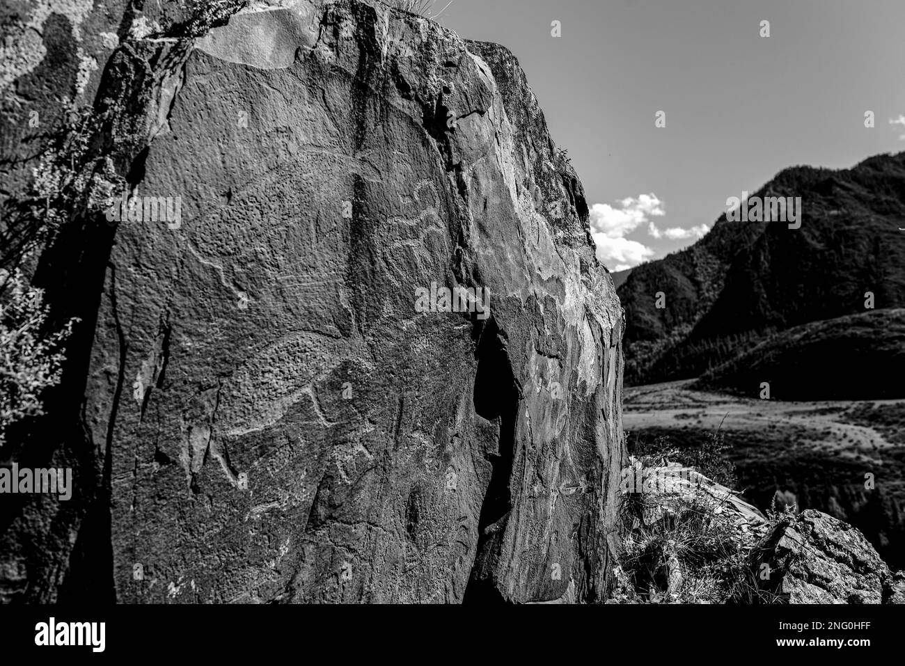 Rock drawing petroglyphs of ancient people animal deer on stones behind ...