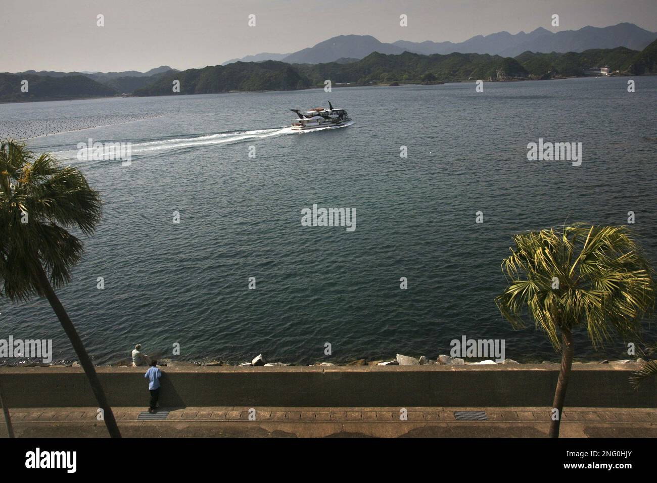 A ferry boat, shaped like a whale, cruises across the bay in Taiji ...