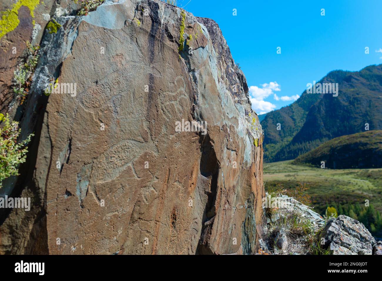 Petroglyphs rock drawings of ancient people animals on stones with moss ...
