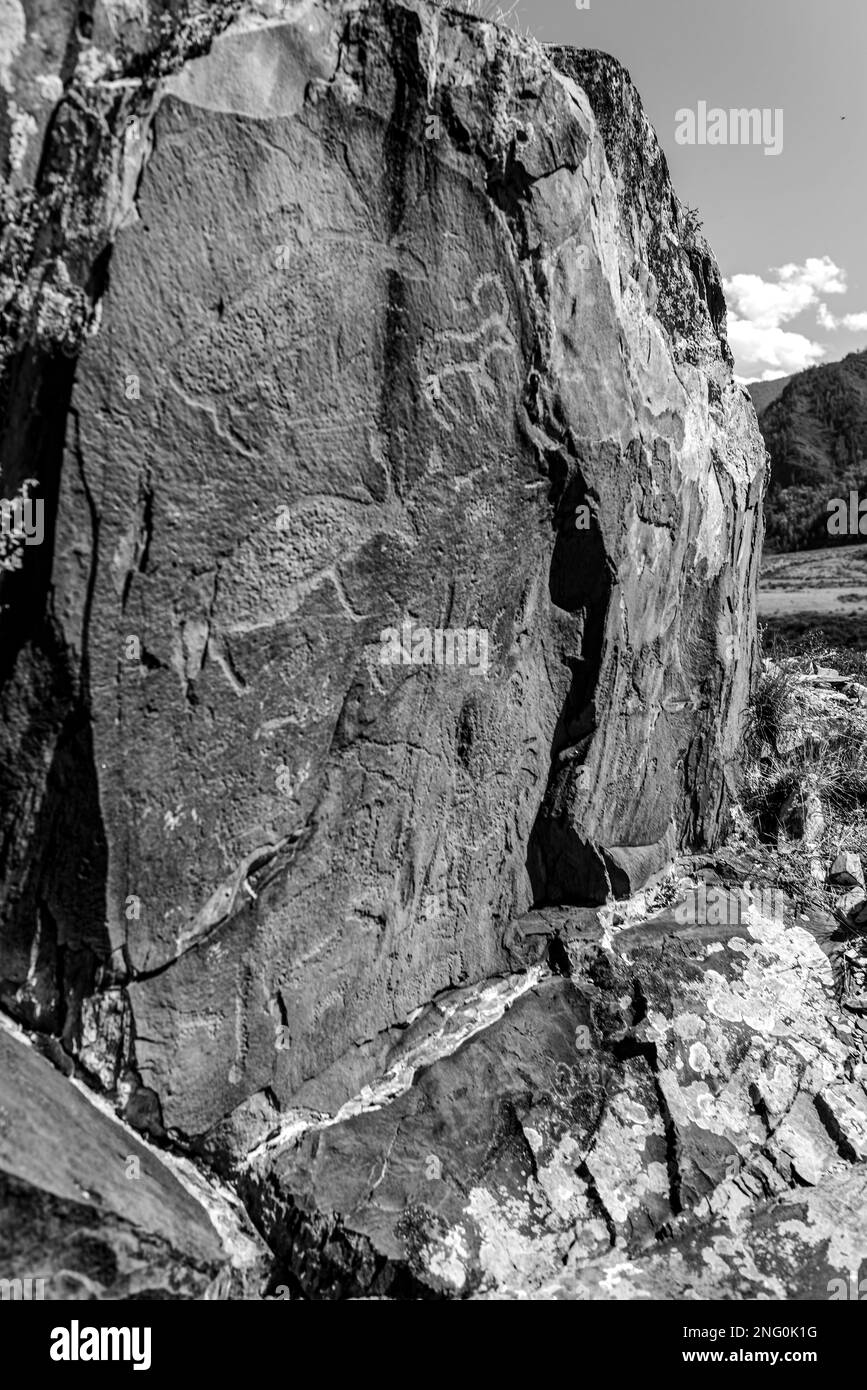 Rock drawing petroglyphs of ancient people animal deer on stones behind ...