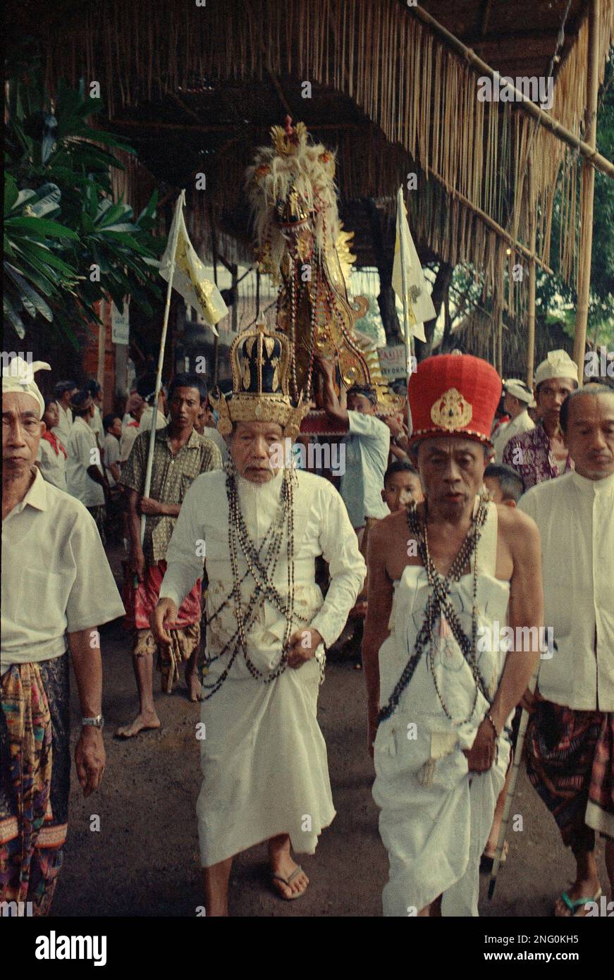 Pictured here is a scene from the cremation of the Balinese Kings in ...