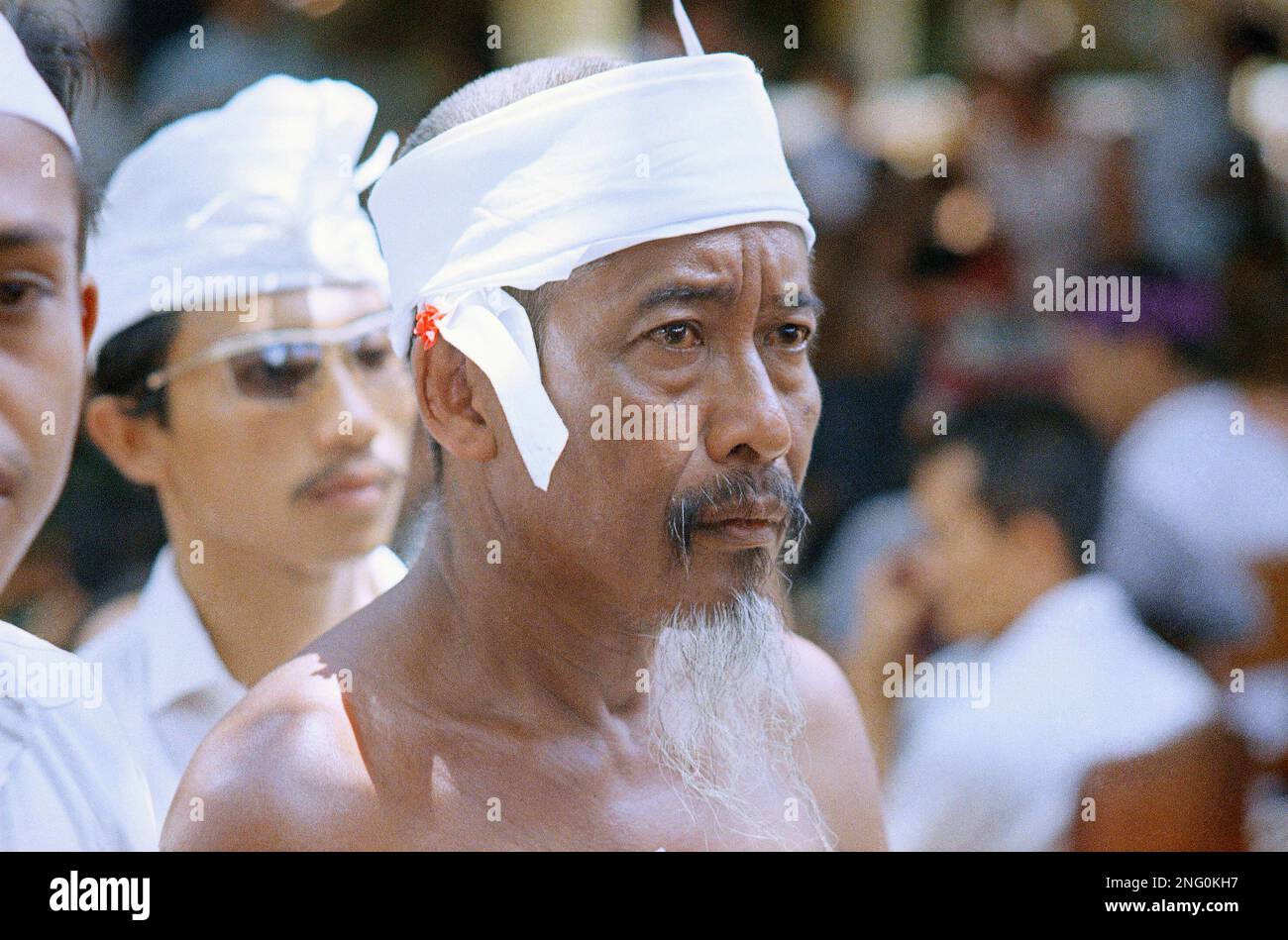 Pictured here is a scene from the cremation of the Balinese Kings in ...
