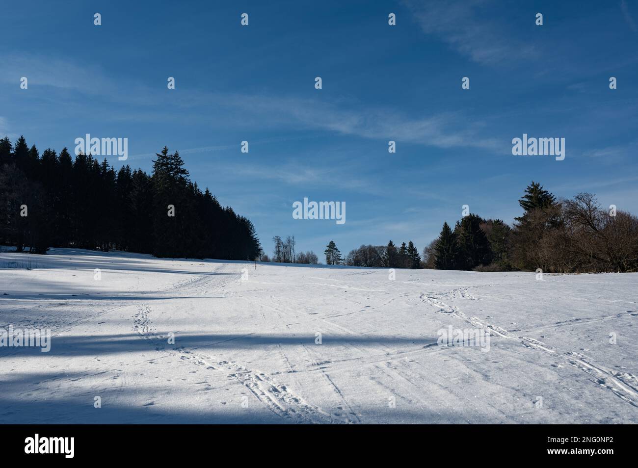Lots of snow in nature, with trees and blue sky in the high Rhoen ...