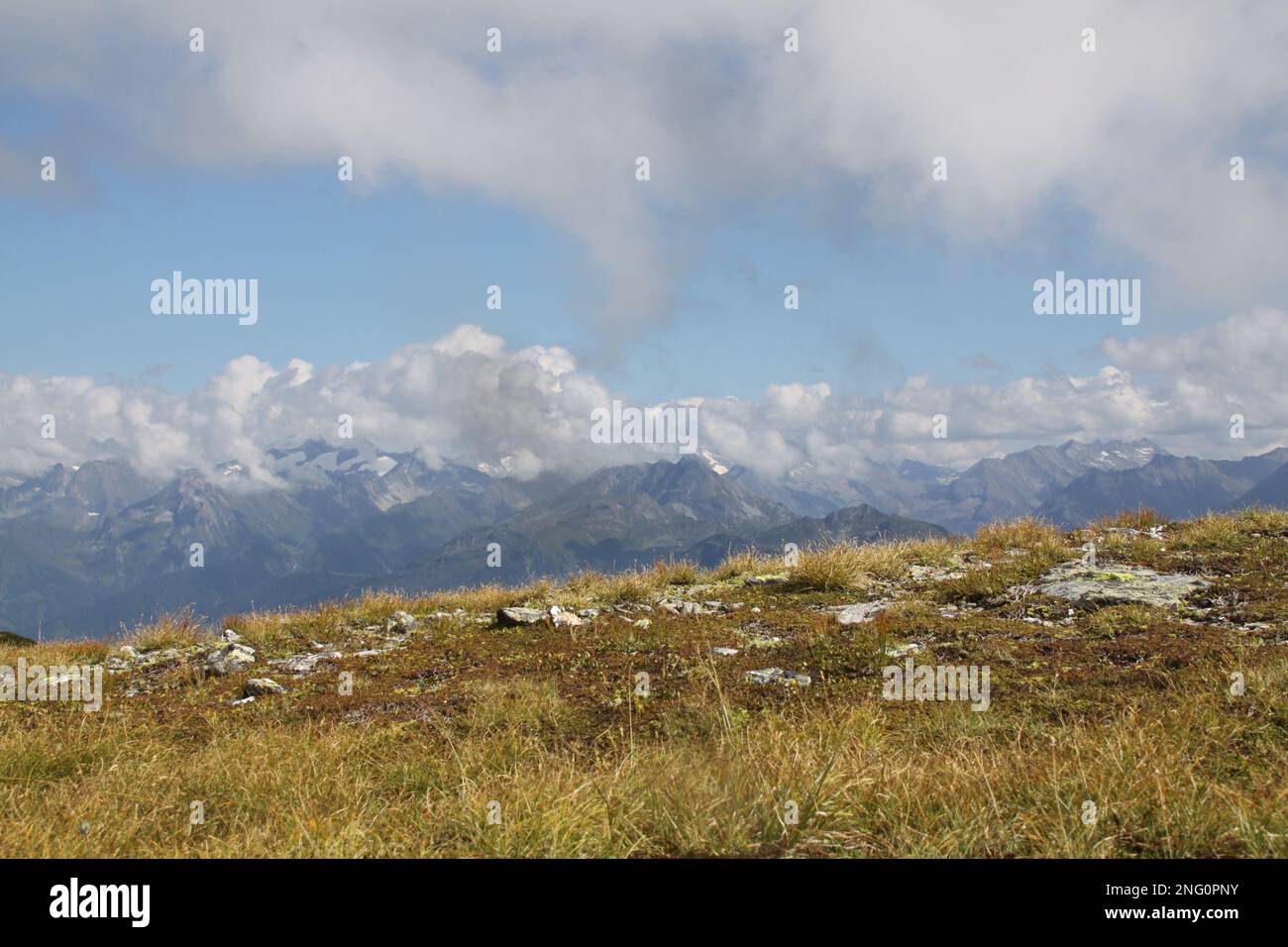 Alpine meadow with peaks and clouds in the background Stock Photo - Alamy