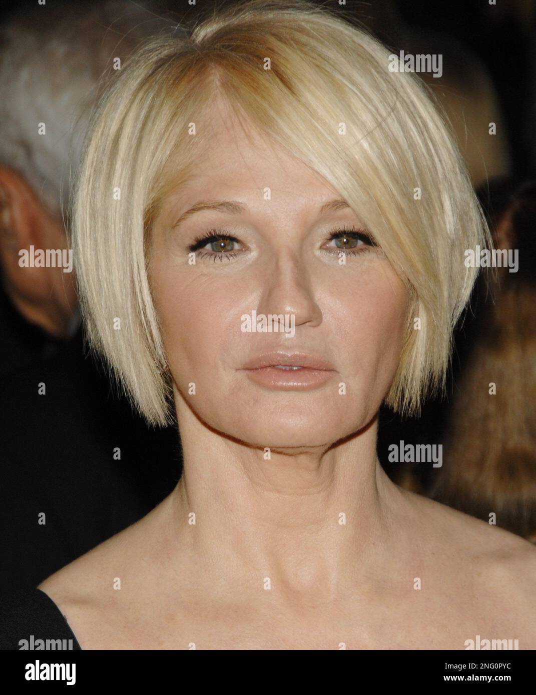 Actress Ellen Barkin attends the Museum of Moving Image Salute to Tom ...