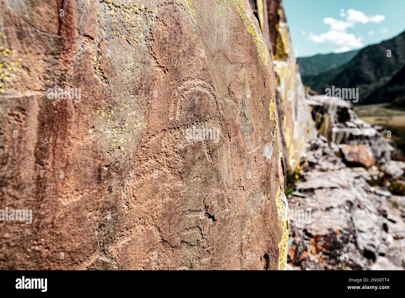 Petroglyphs rock drawing of ancient people animal deer on stones behind ...