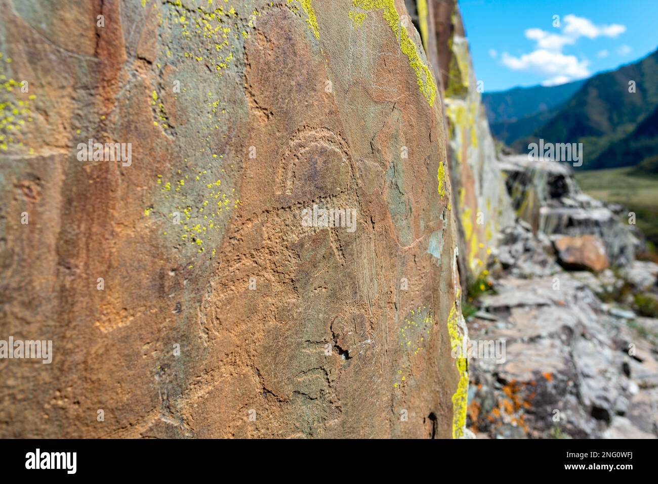 Petroglyphs rock drawing of ancient people animals on the stones behind ...