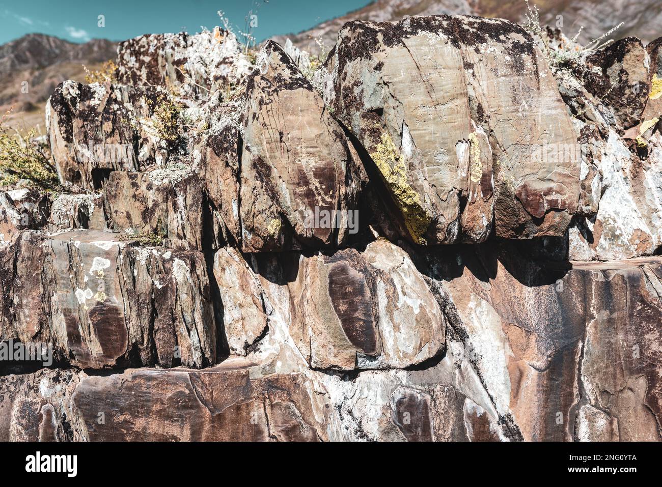 Panorama rock drawing of ancient people petroglyph animal deer with ...