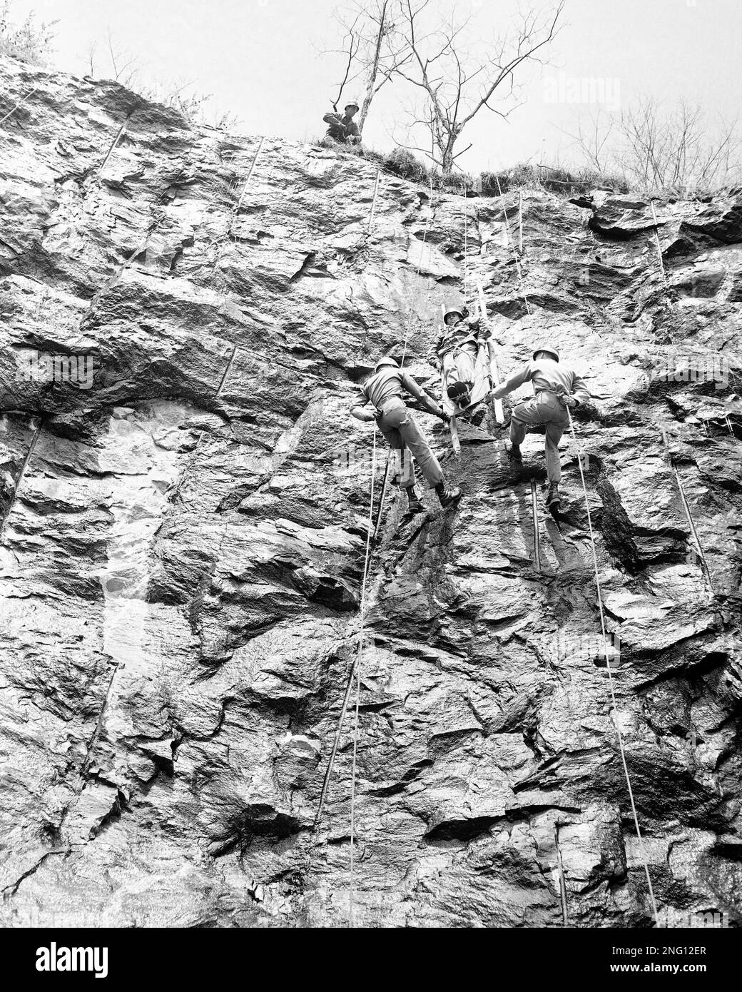 An "injured" ranger, strapped to a stretcher, is lowered down a ...