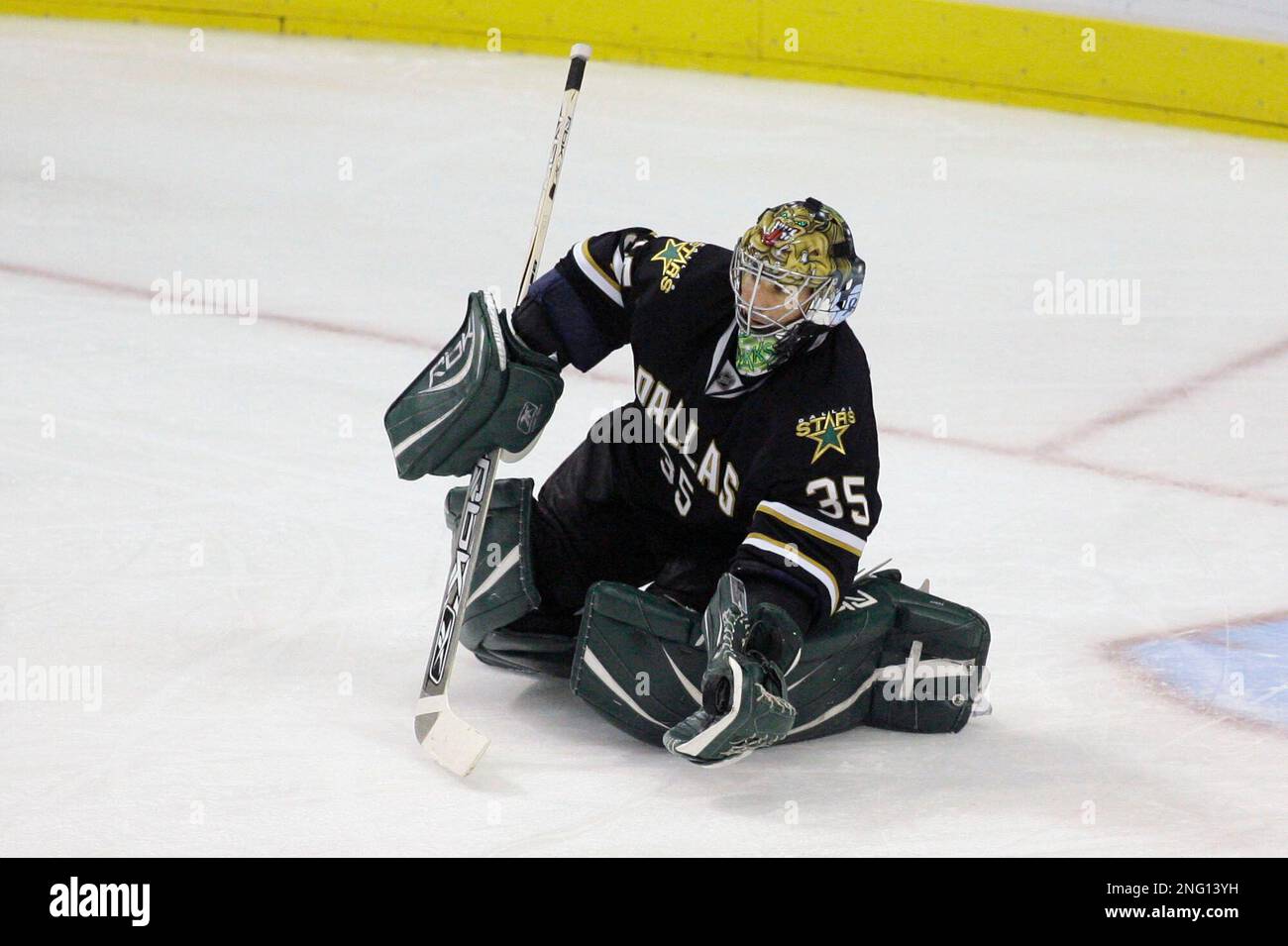 Dallas Stars goalie Marty Turco during a hockey game against the Boston ...