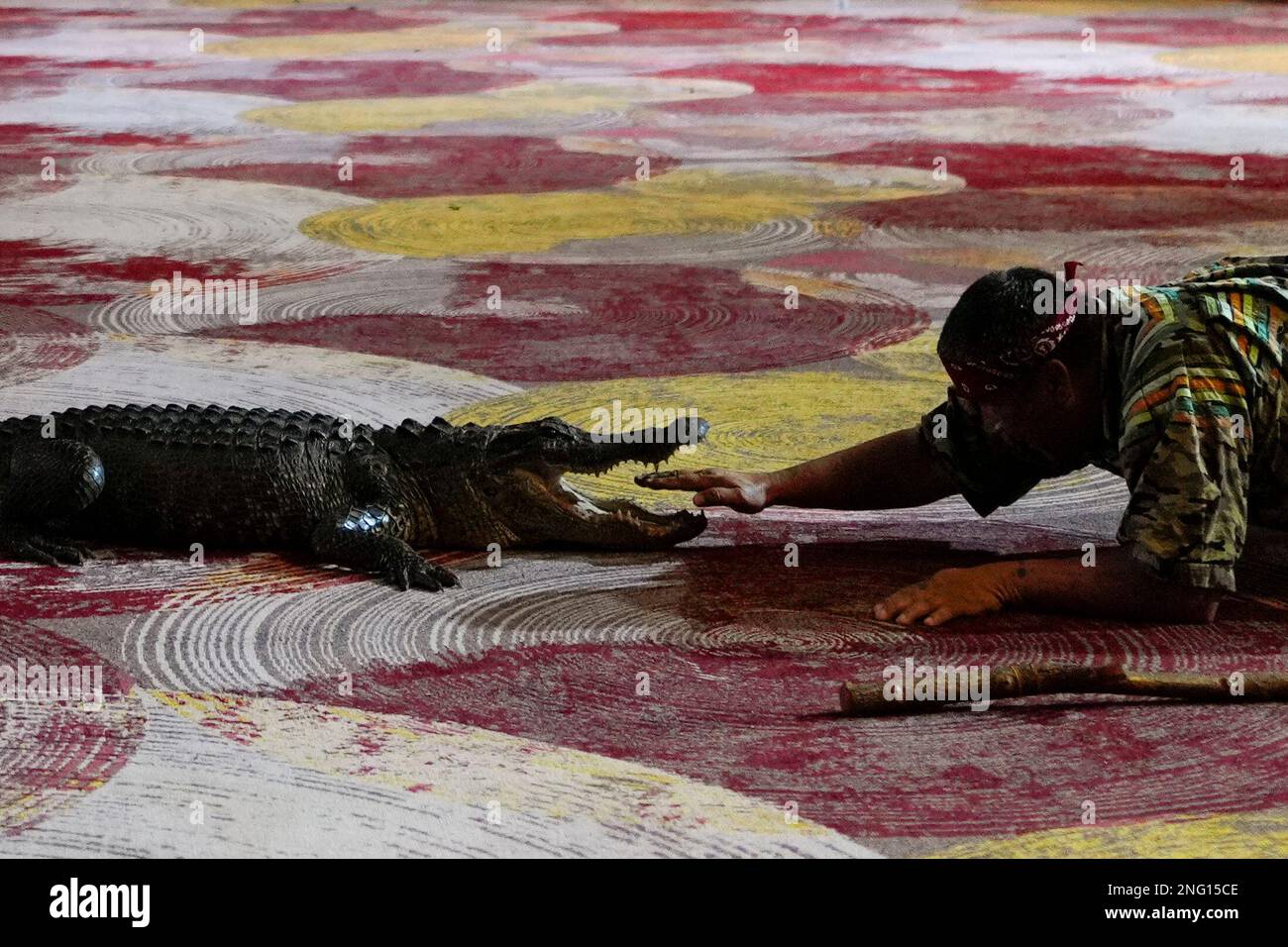 Seminole alligator wrestler Billy Walker, of the Big Cypress ...
