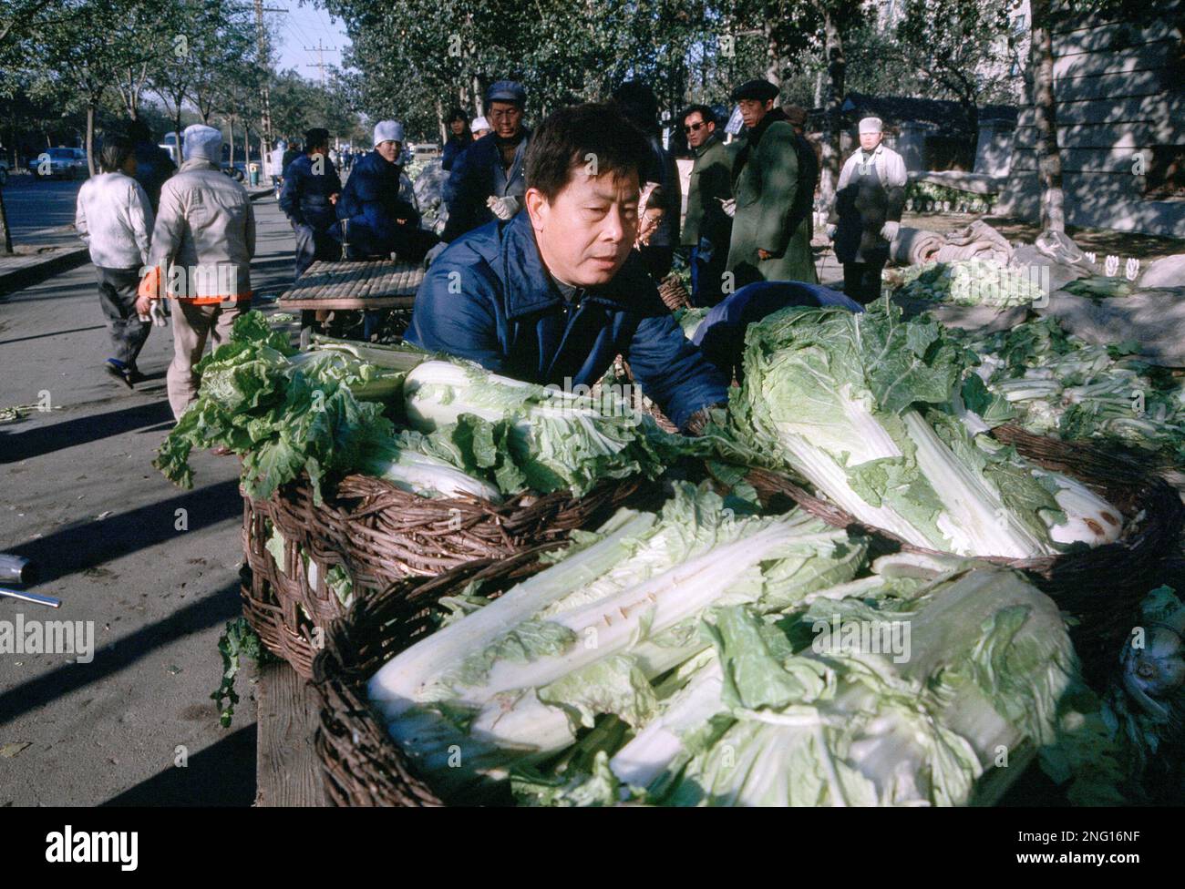 Vendor sells cabbage at stand in Beijing, China, 1985. (AP Photo/Neal ...