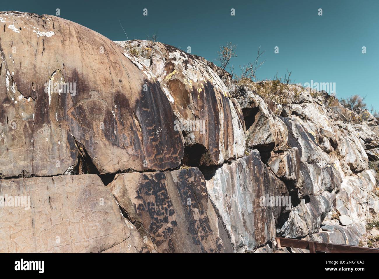 Rock drawing of ancient people petroglyph animal cows and deer with ...
