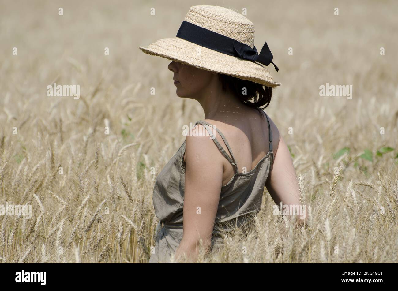 3334bcrx hi-res stock photography and images - Alamy