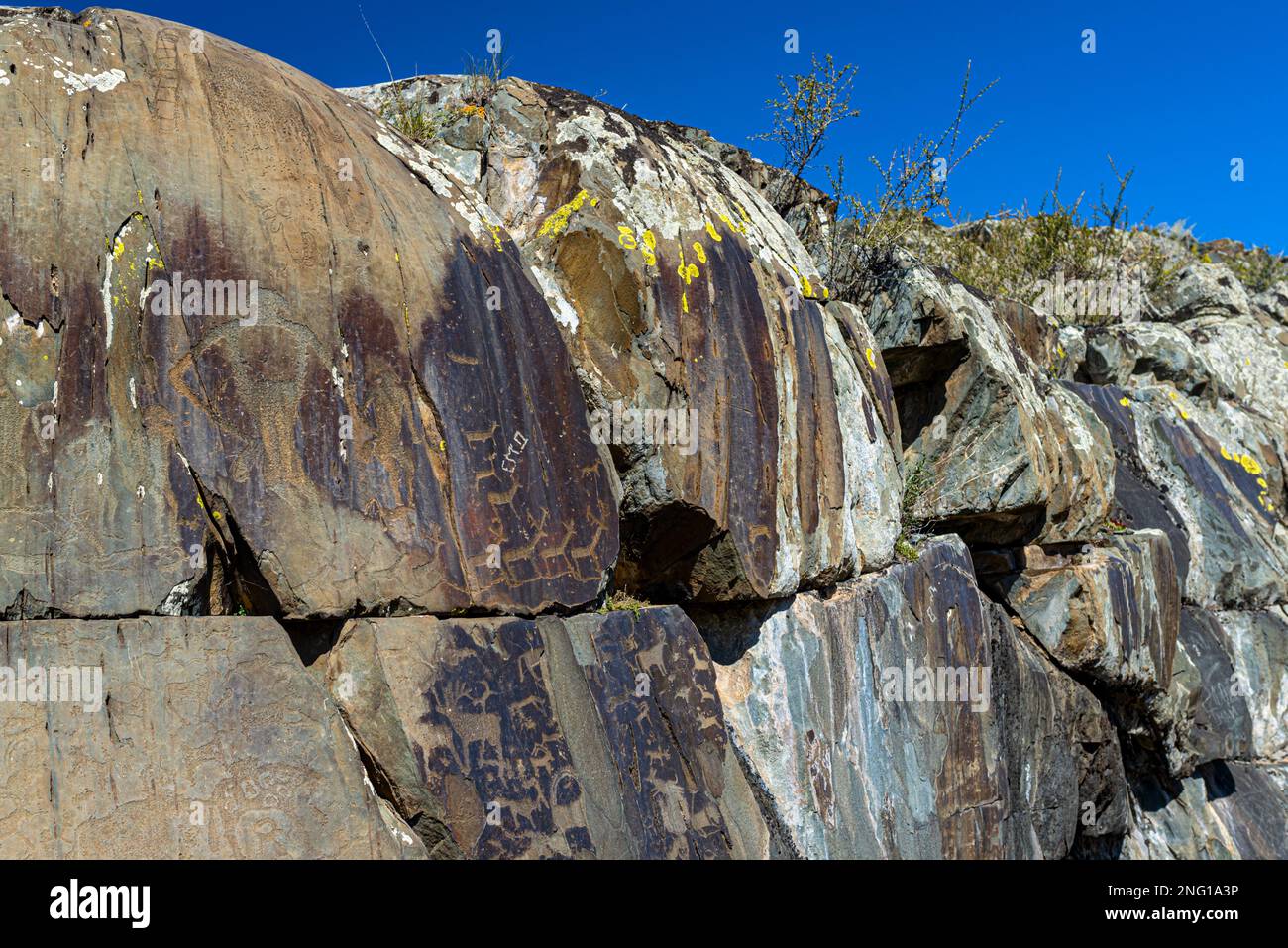 Rock drawing of ancient people petroglyph animal cows and deer with ...