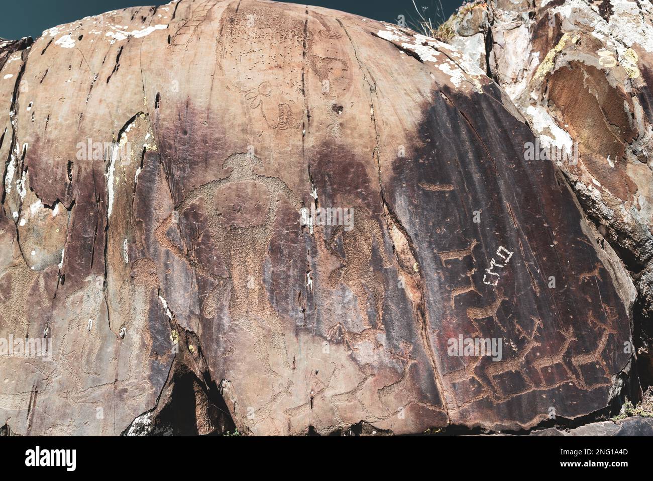 Rock drawing of ancient people petroglyph animal deer with antlers and ...
