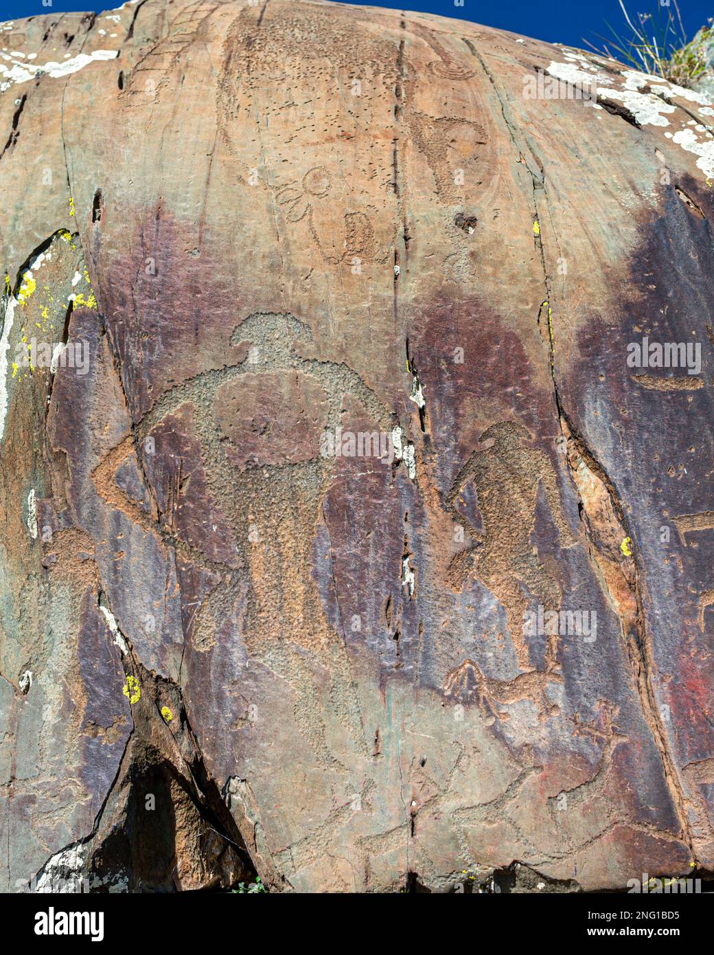 Rock drawing of ancient people petroglyph animal deer with antlers and ...