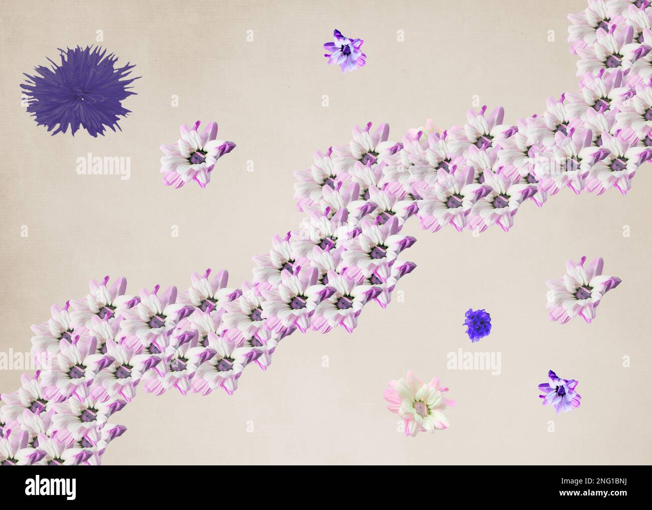 Garland of white and pink spring on ivory linen texture with extra ...