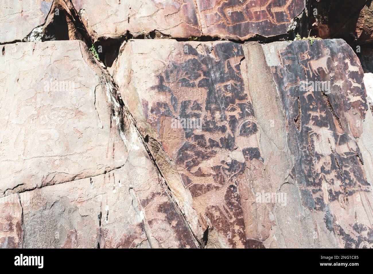 Rock drawing of ancient people petroglyph of large and small deer ...