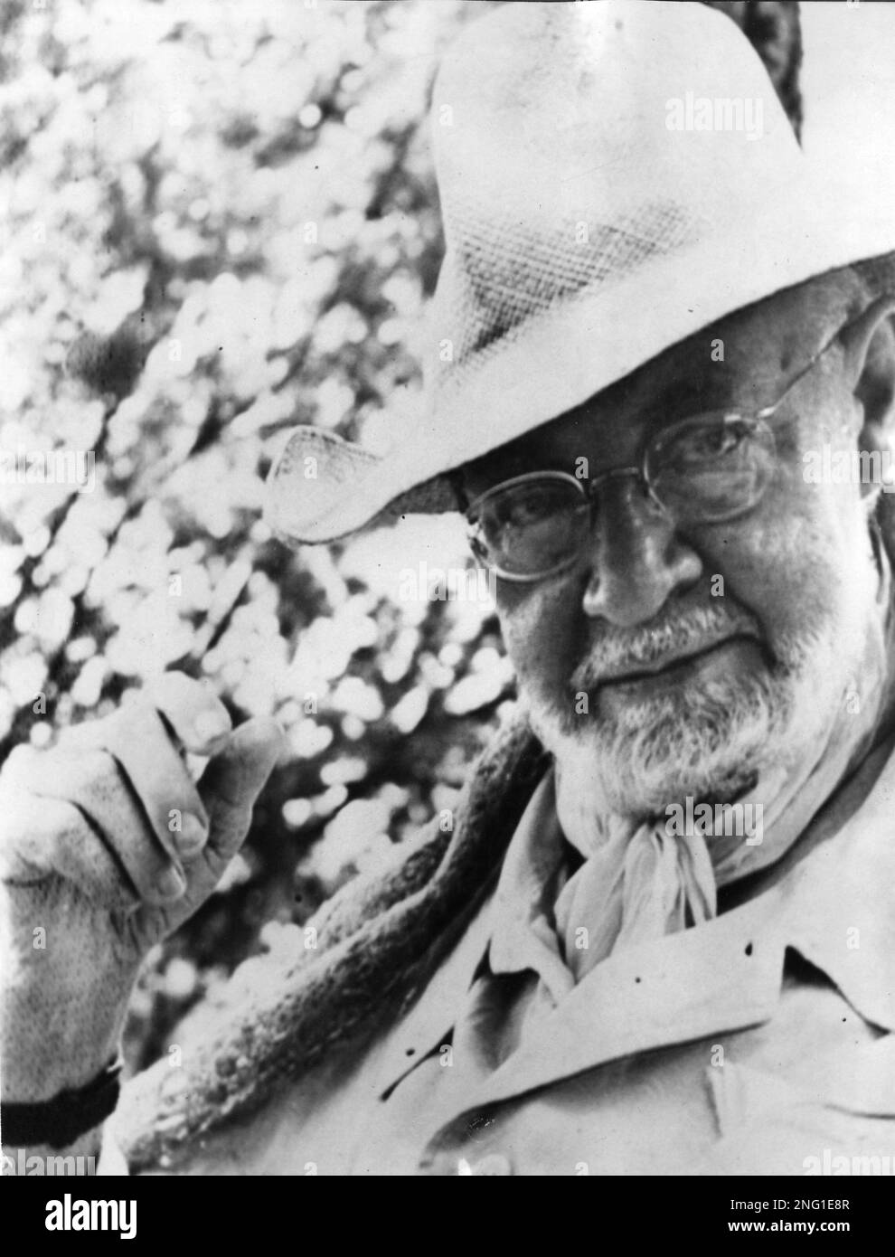 This image is the last portrait made of French artist and painter Henri ...