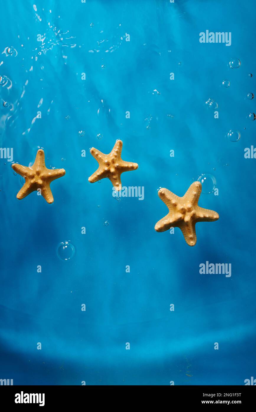 Three starfish in bright blue ocean water with waves and bubbles Stock ...