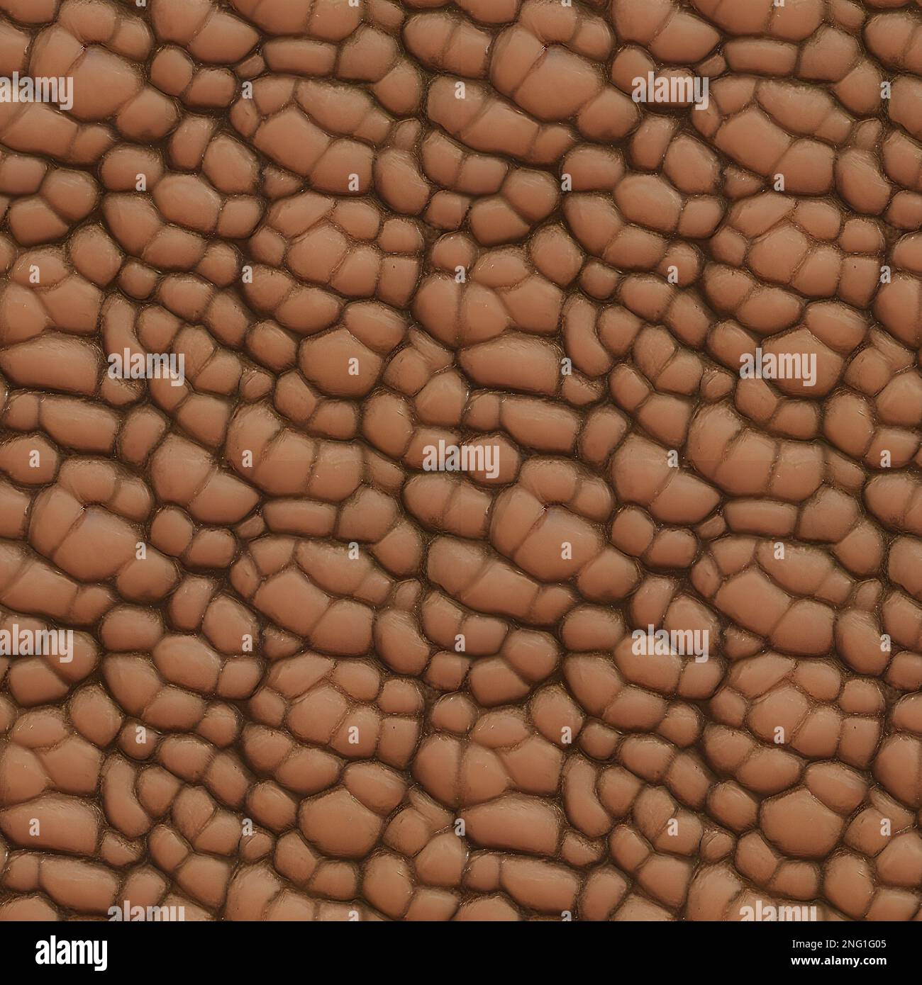 Skin under microscope hi-res stock photography and images - Alamy