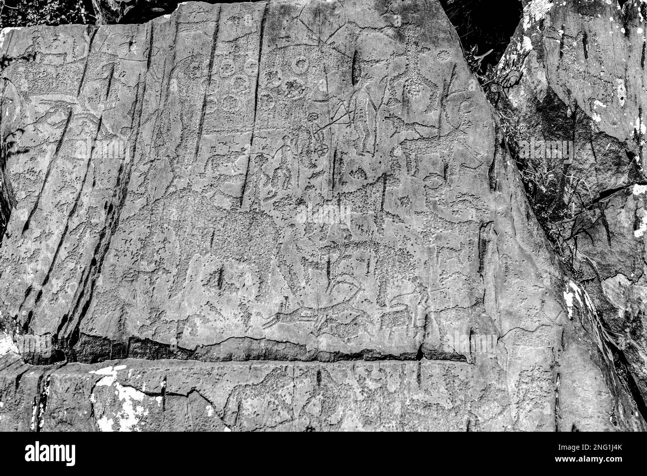 Rock drawing of ancient people of different animal deer with antlers on ...