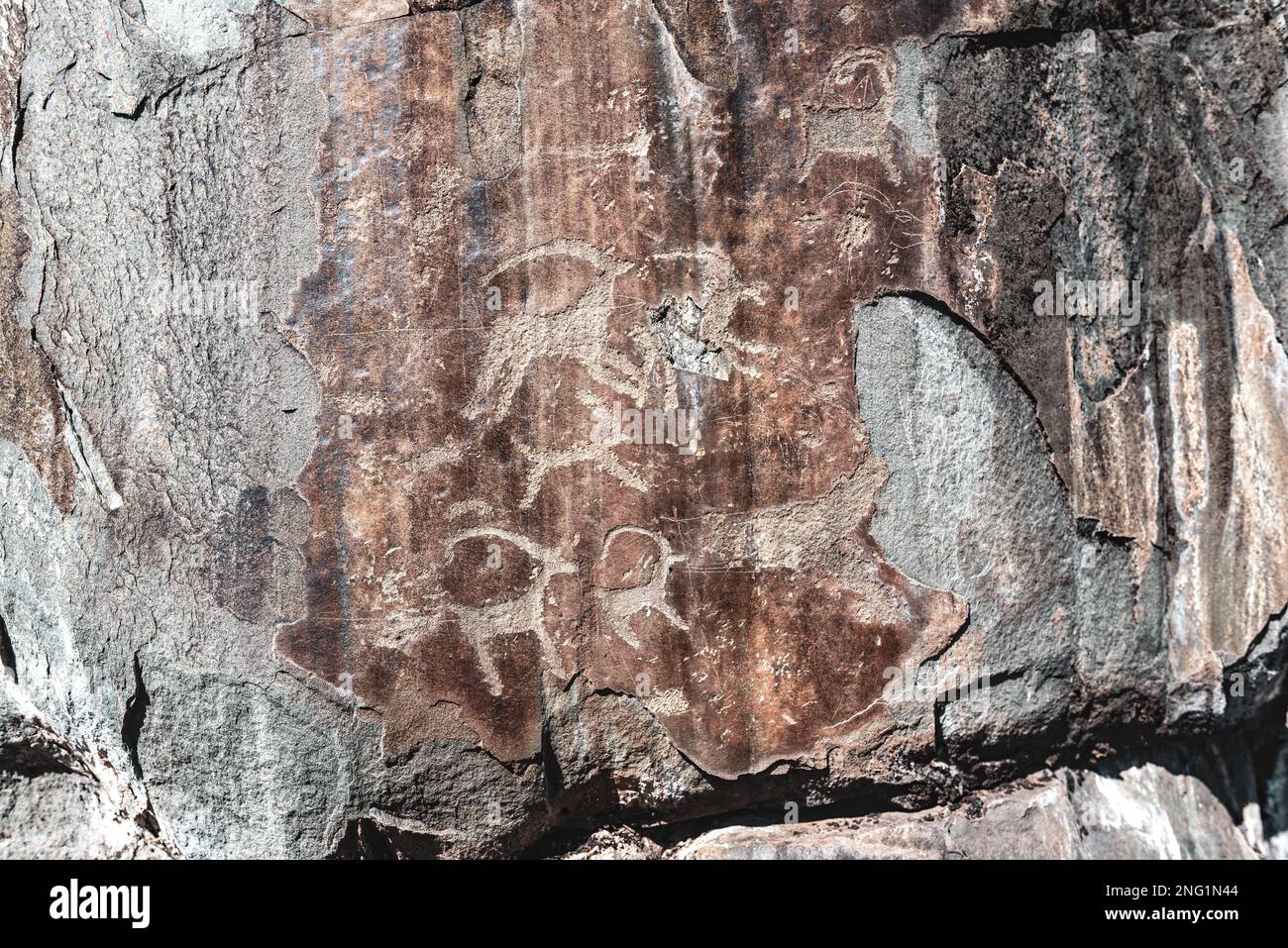 Panorama rock drawing of ancient people petroglyph animal deer on ...