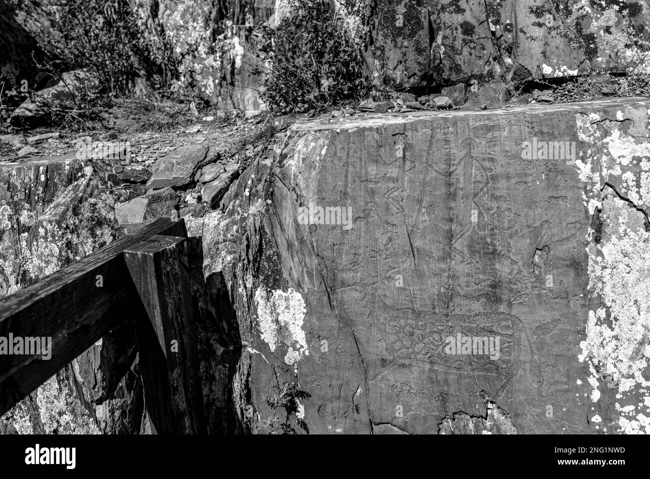 Rock drawing of ancient people of different animal deer with horns and ...