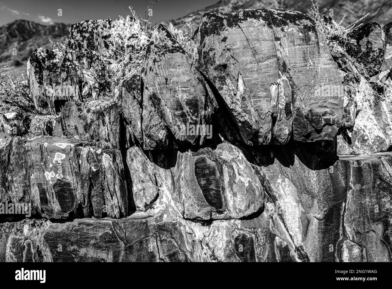 Rock drawing of ancient people of different animal deer with horns and ...