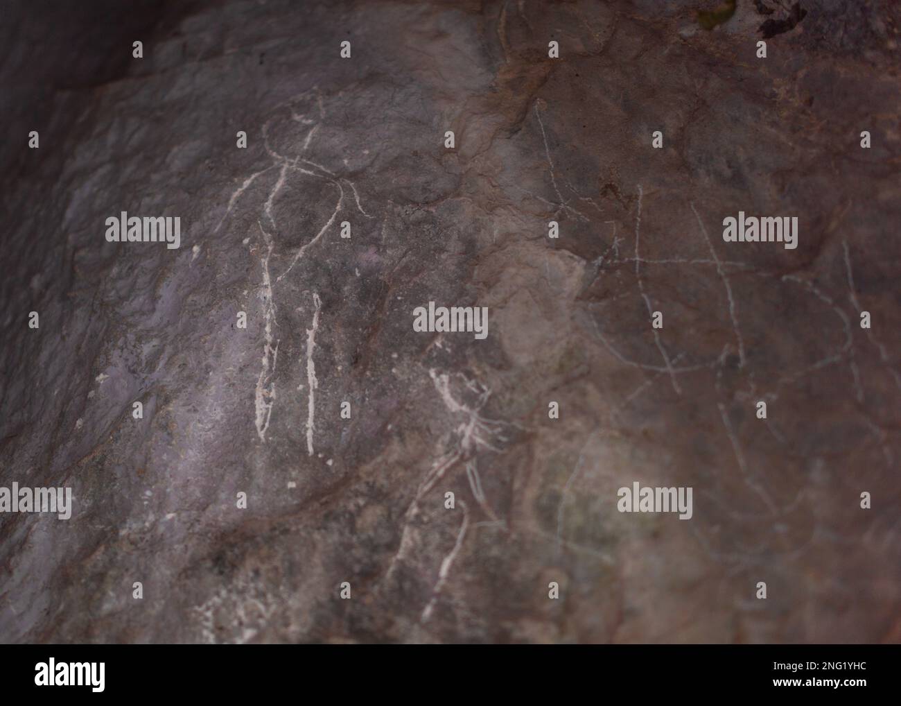Rock drawing of ancient people petroglyph on the wall of a cave in the ...