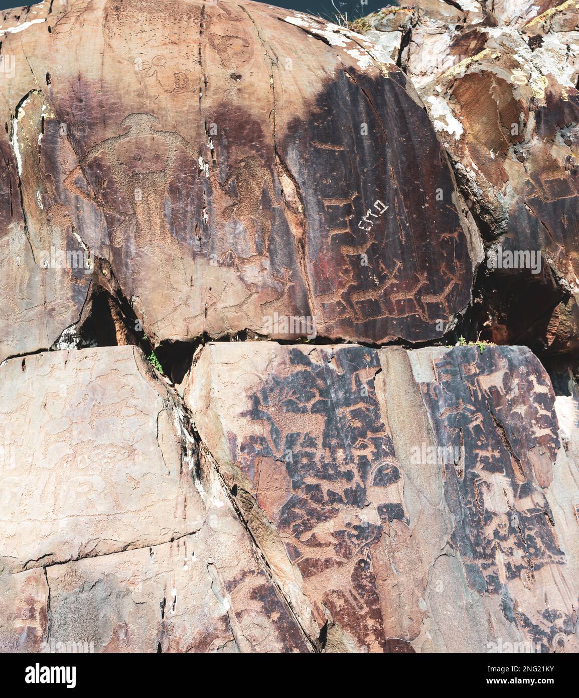Rock drawing of ancient people petroglyph animal deer with horns and ...