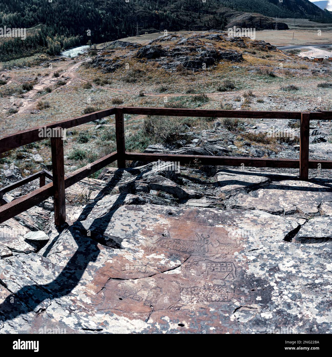 Rock drawing petroglyphs of ancient people of different animal deer ...