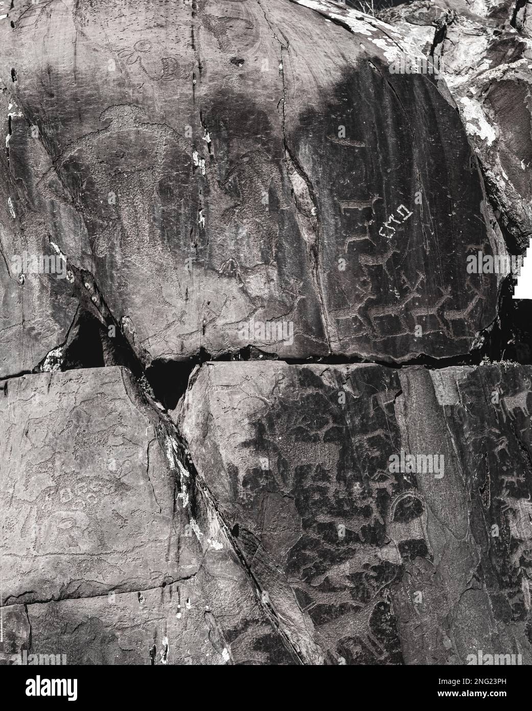 Rock drawing of ancient people of different animals deer with horns and ...