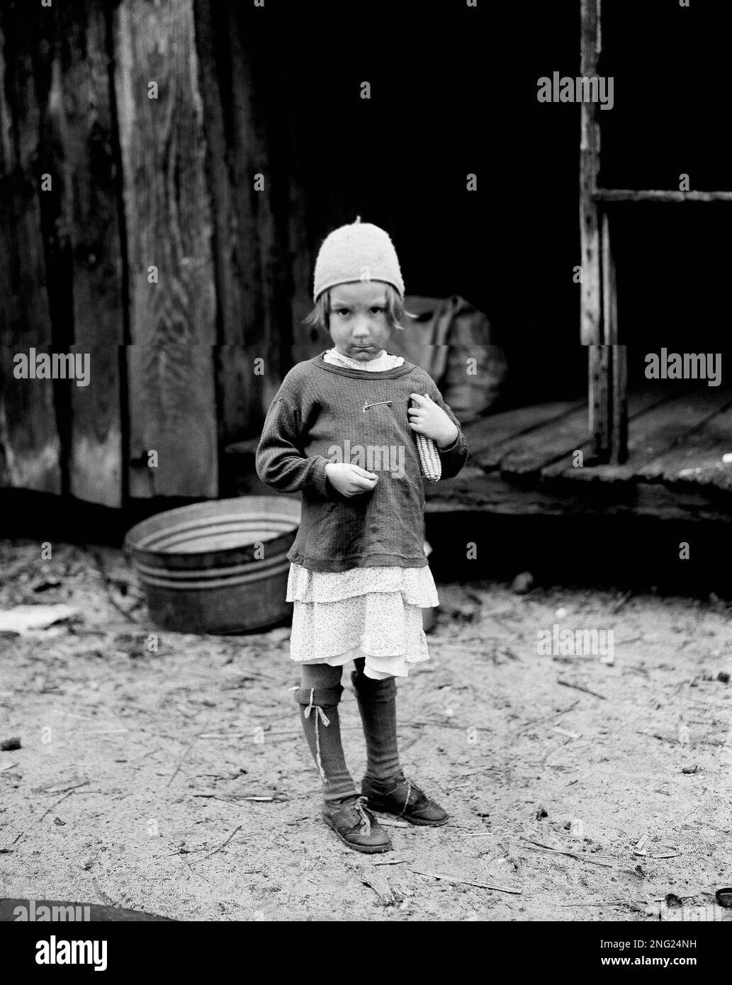 Brown-eyed Ola Prickett, daughter of a sharecropper, holds an ear of ...