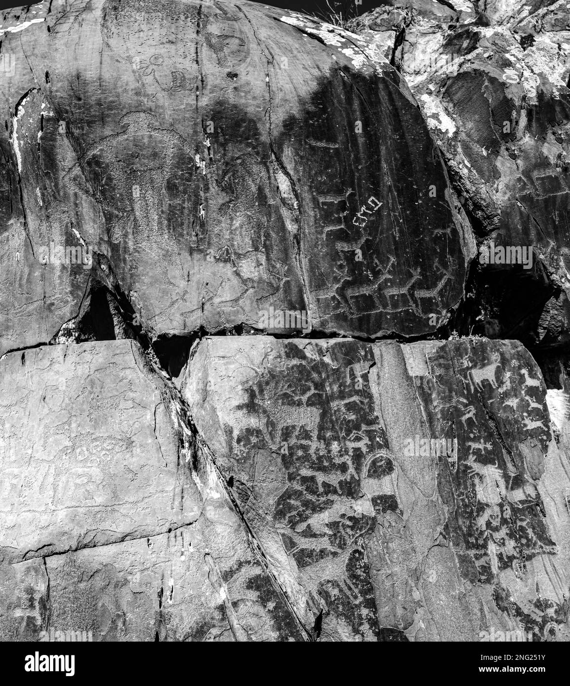 Rock drawing of ancient people of different animal deer with horns and ...