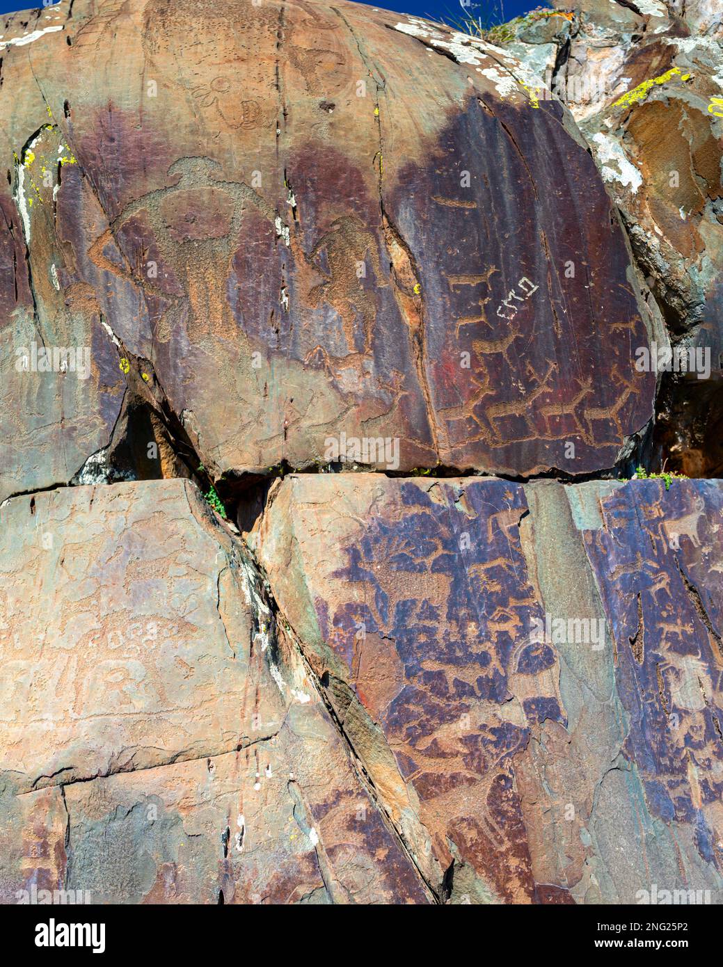 Rock drawing of ancient people petroglyph animal deer with antlers and ...