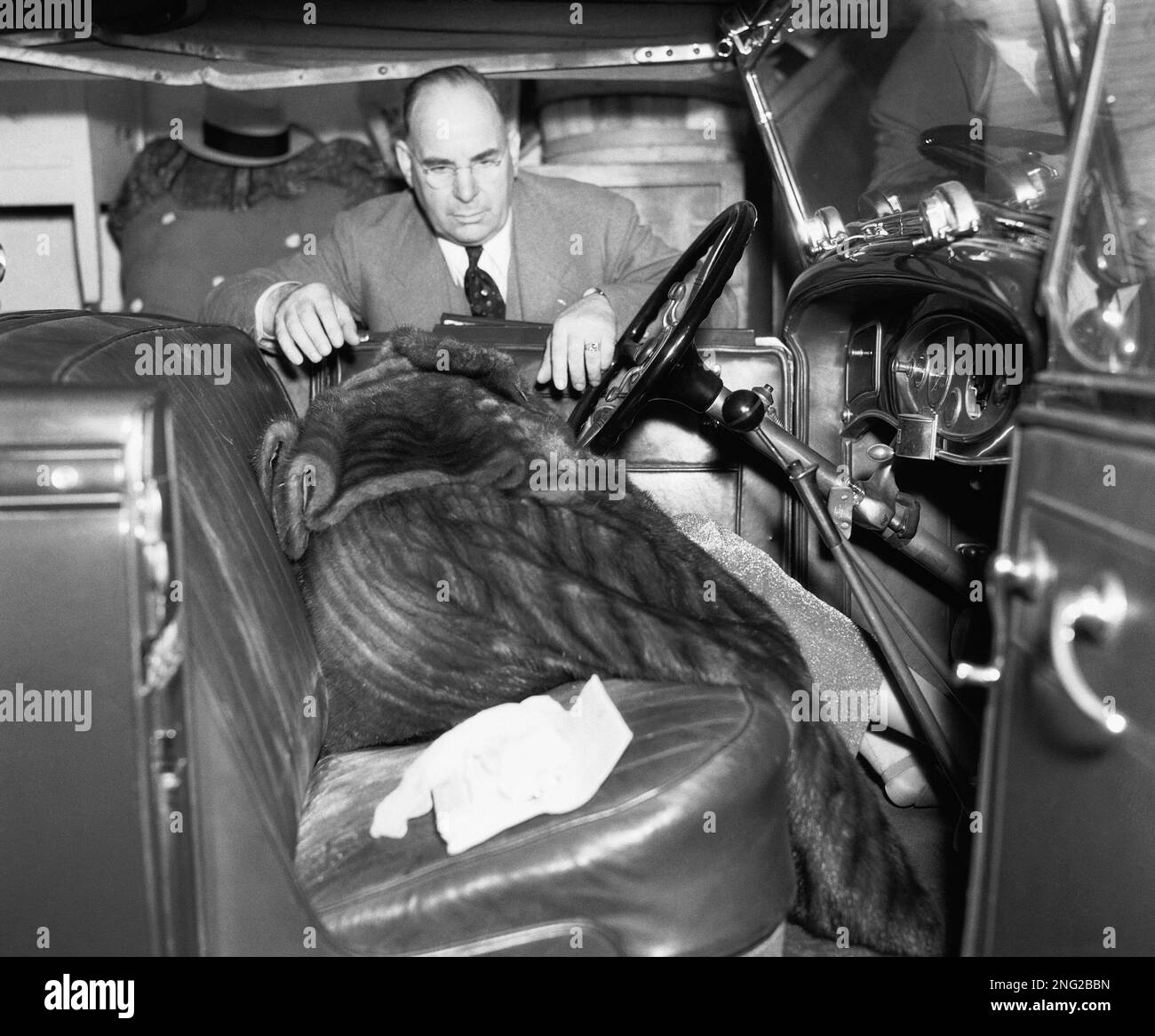 The body of actress Thelma Todd is examined by Capt. Burt Wallis of the ...