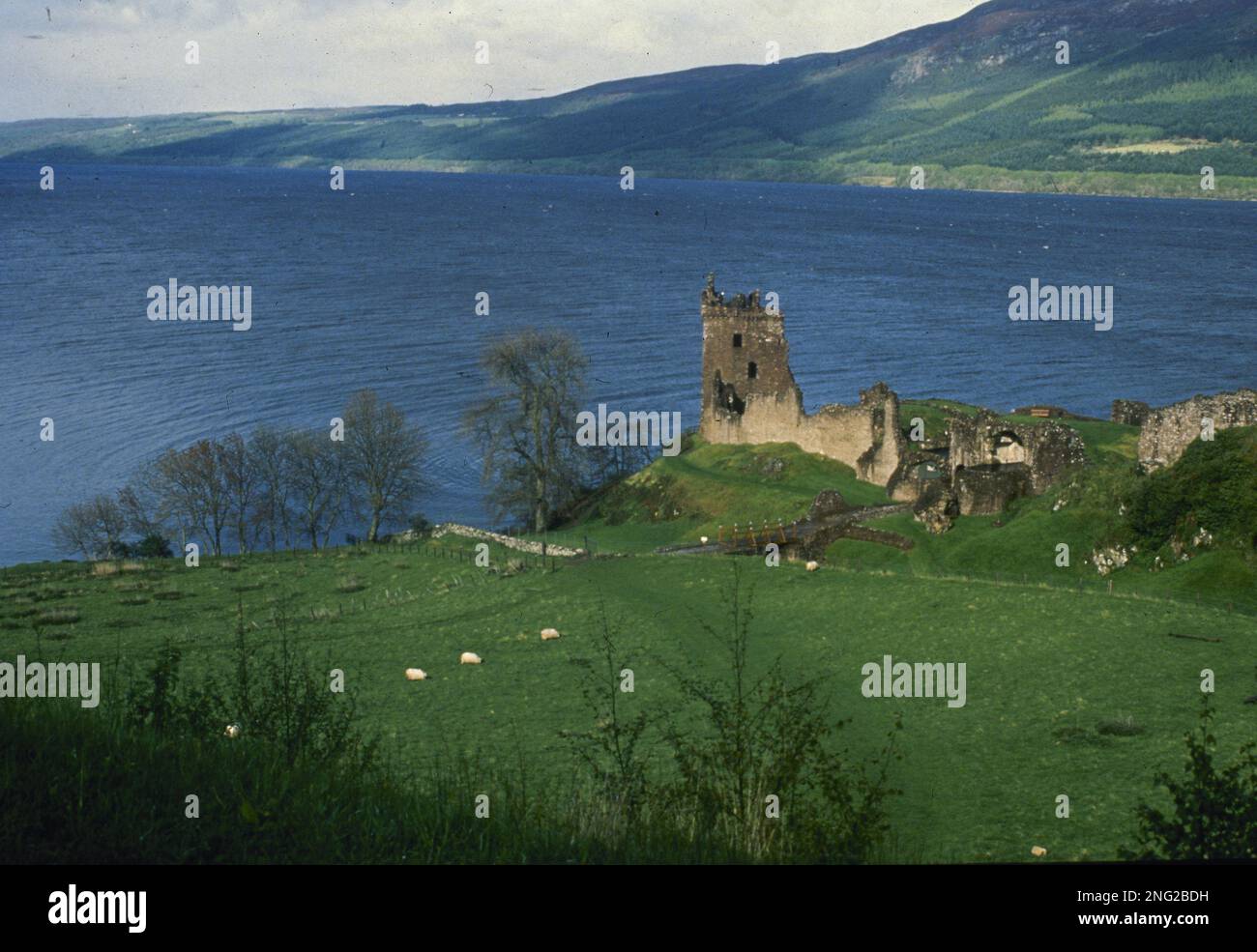 Scotland's 23-mile long Loch Ness, home of the elusive monster, Nessie ...