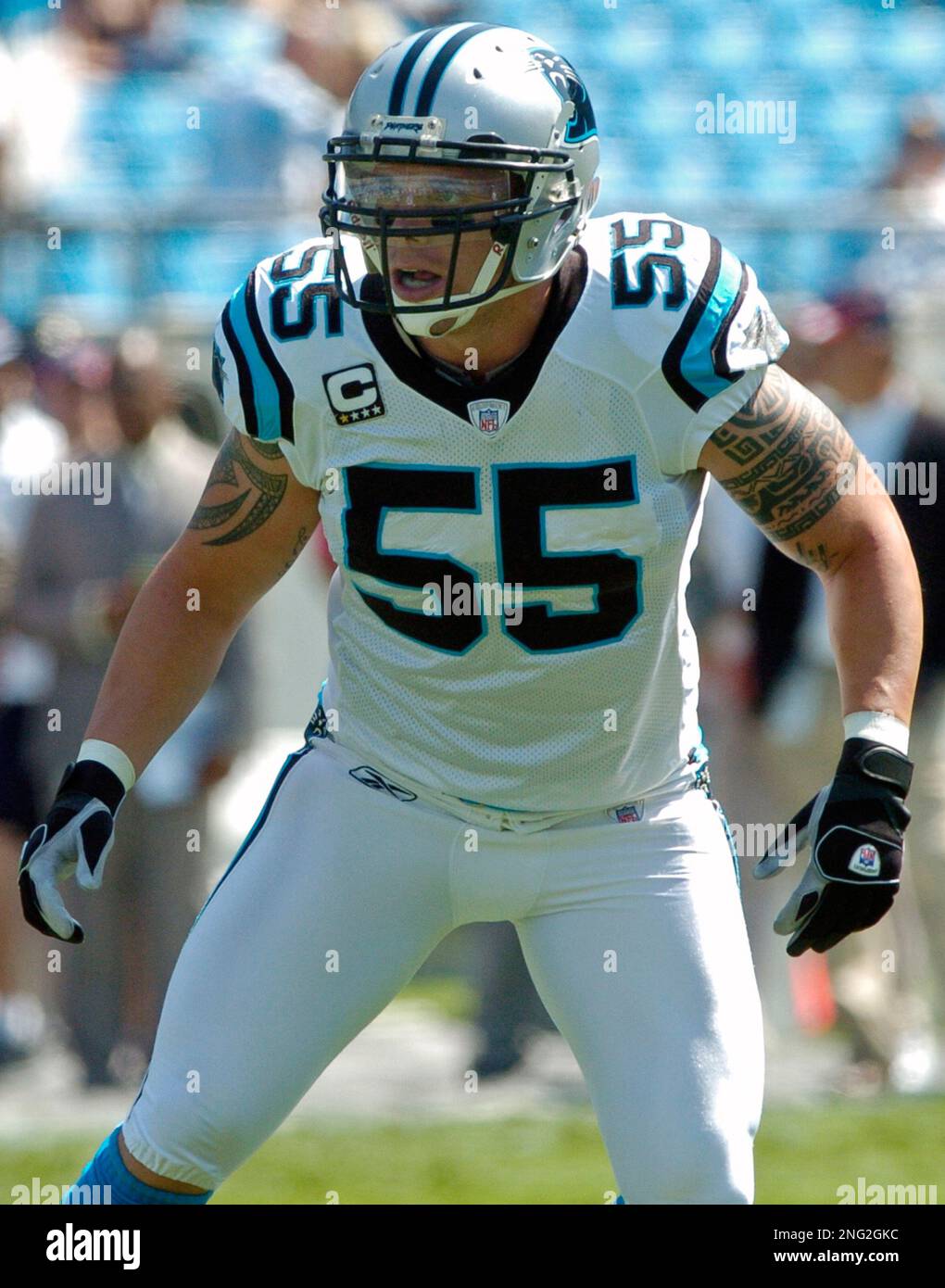 Carolina Panthers' Dan Morgan (55) is shown in an NFL football game in ...