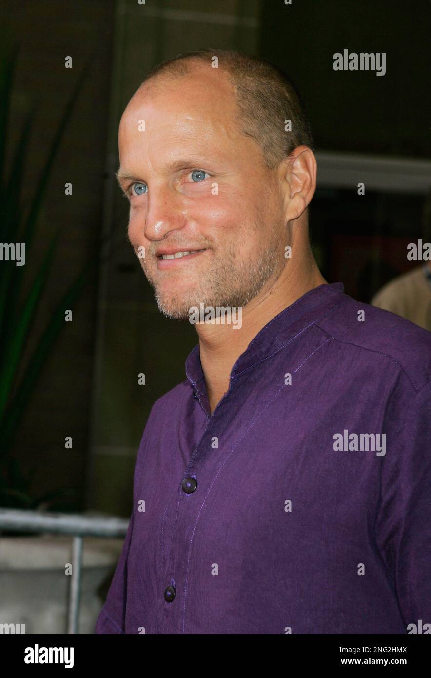 Actor Woody Harrelson attends the premiere of "Battle In Seattle ...