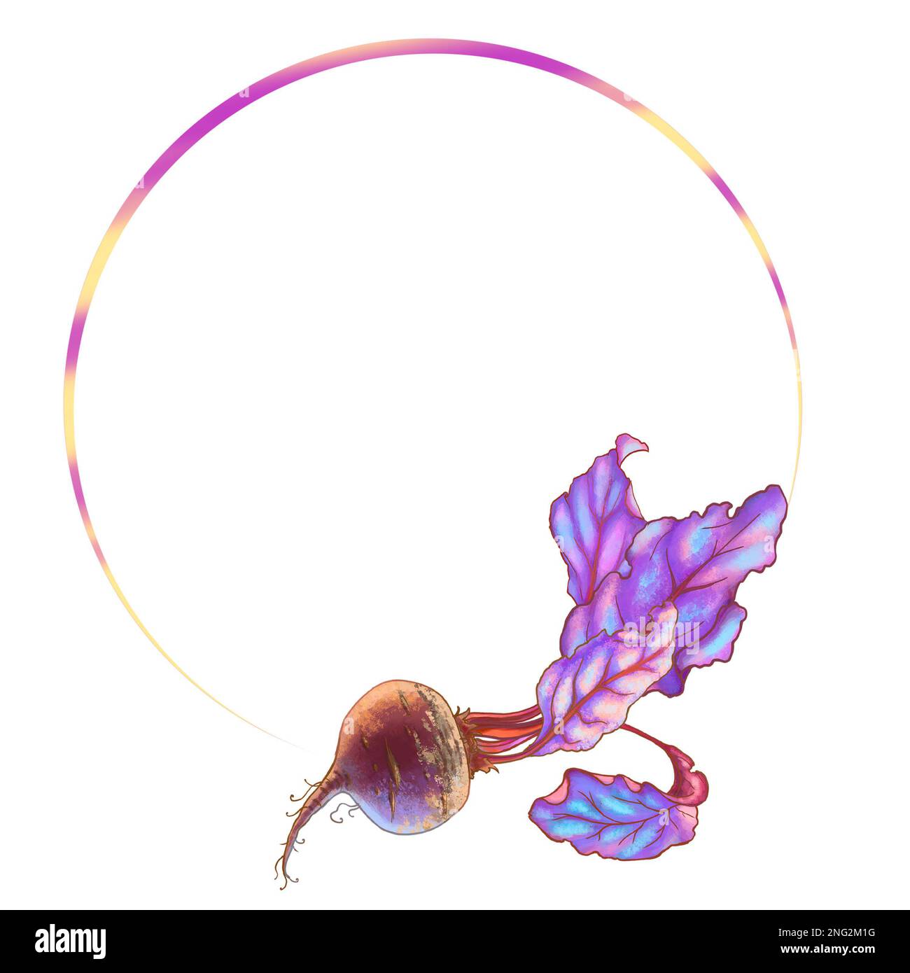 Round frame with beetroot illustration. High quality illustration Stock ...