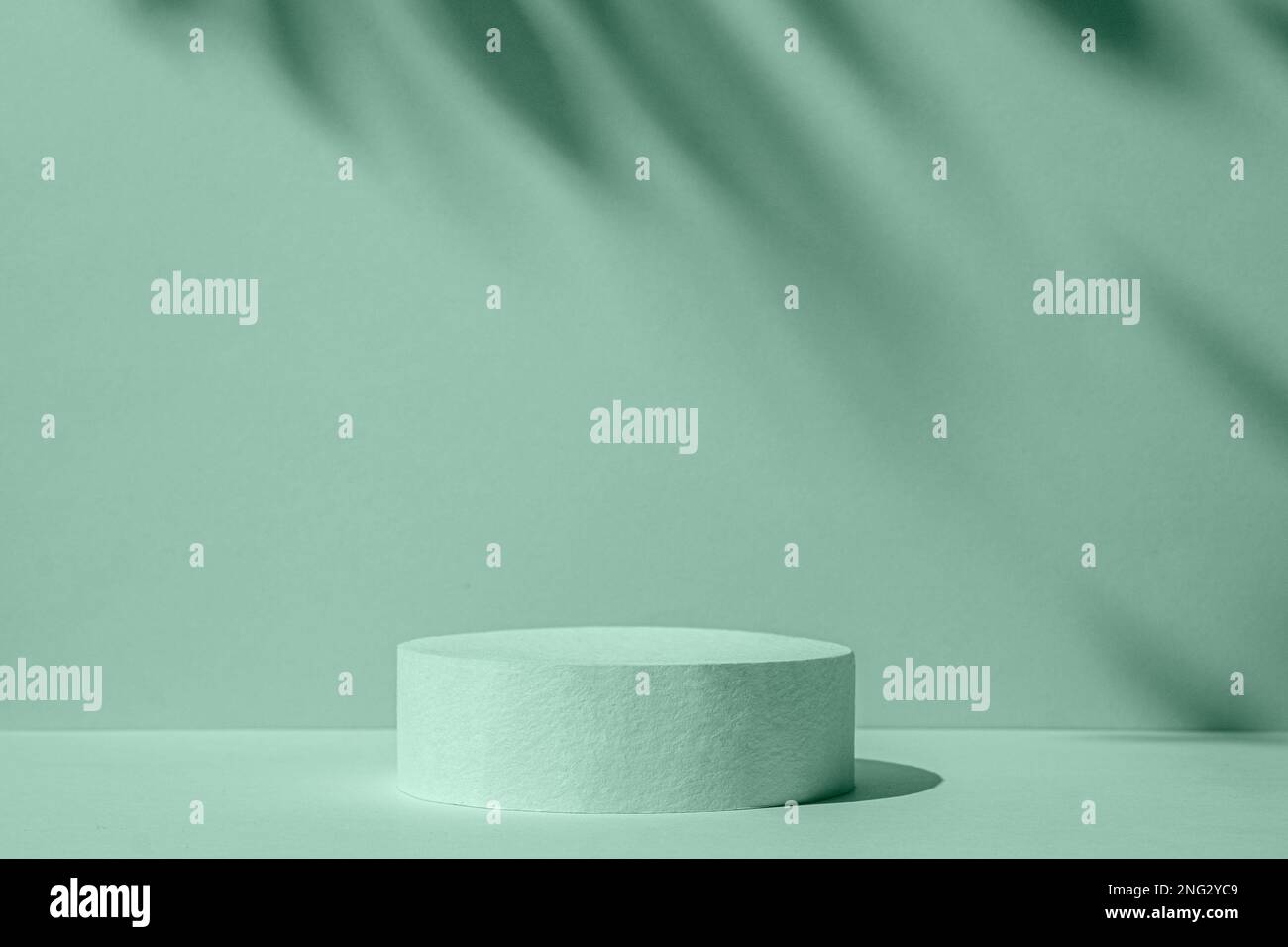 Minimal mint background color with copy space and natural shade and podium to show the product ...
